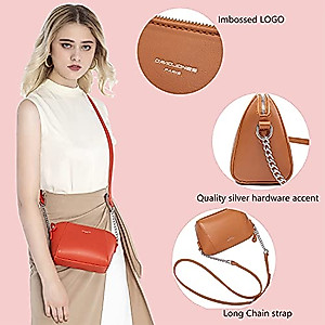 David Jones Vegan Leather Crossbody Purse for Women-Small Shoulder Cell Phone Womens Wallet Purses and Handbags,Cute Designer Brown Purse