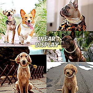 Flatfoosie Cuban Link Dog Collar Gold Silver Color Metal Chain Diamond Pet Collars for Dogs Cats Jewelry 8/10/14/16/18/20/24/28 Inch (16inch, Gold)