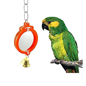 Hypeety Pet Bird Mirror with Bell Interactive Treat Puzzle Parrot Toy Bird Cage Mirror Small Bird Swing Chew Toys Fun Cage Accessories (Color Random) (Round Shape)