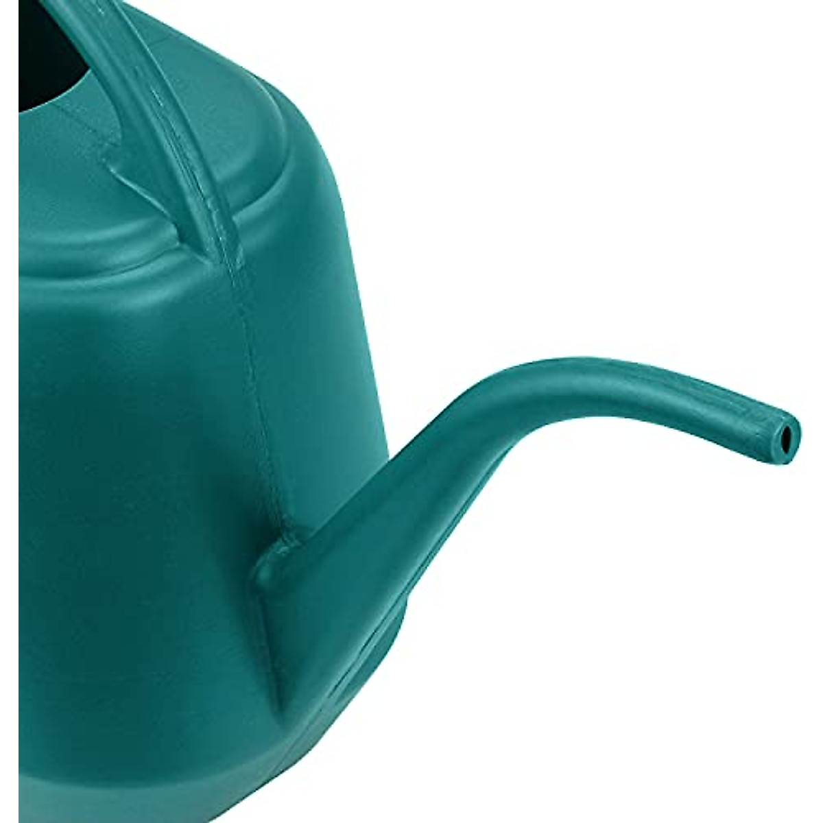 Fasmov Plastic Watering Can, 1-Gallon, Green