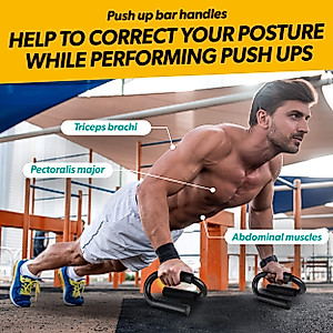 Vitoniq Premium Wood Gymnastics Rings and S-Shaped Push Up Bars Set – Strength Training & Calisthenics Equipment – Non-Slip Birch Wooden Rings, Adjustable Straps, Ergonomic Pushup Handles