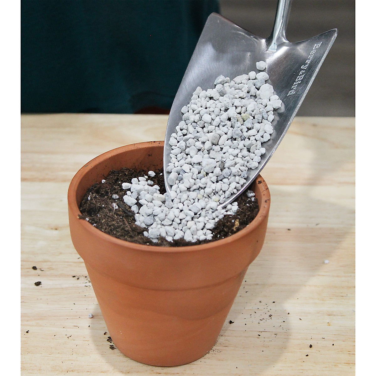 Horticultural Bonsai Pumice Soil Additive (4 Quarts), 7LB Ideal Substrate for Bonsai Trees, Cactus and Succulents