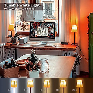 MagicLight Smart BR30 Flood Light Bulbs, Dimmable Color Changing 100w Equivalent LED Recessed Can Light, WiFi Light Bulbs, Work with Alexa Google Assistant SmartThings (2Pack)