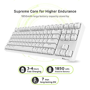 RK ROYAL KLUDGE Sink87G Wired/Wireless TKL Mechanical Gaming Keyboard, No Numbpad Compact 2.4G RGB Wireless Keyboard (White)