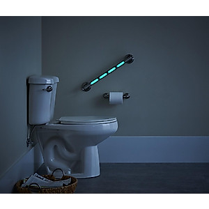 Moen MLR8718D4GBN Banbury 18" Glow-in-The-Dark Bathroom Grab Bar, Brushed Nickel