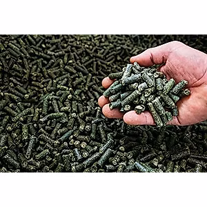 CZ Grain Alfalfa Pellets for Feeding - Guinea Pigs, Rabbits, Birds and More Small Animal Pets (10 Pounds)