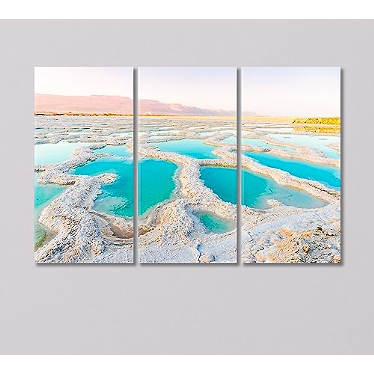 Dead Sea Coast Canvas Print 1 Panel / 36x24 inches