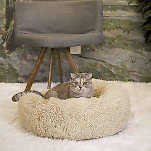 Qucey Calming Cat Beds for Indoor Cats, Anti Anxiety Round Fluffy Plush Faux Fur Cat Bed, Washable 23 inches Small Dog Bed & Cat Bed
