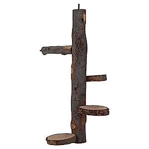 Perch Branch, Bird Perch Stand Easy to Install Wood for Jumping Toy
