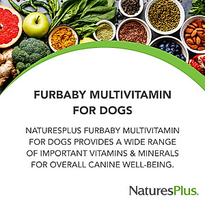 NaturesPlus FurBaby Multivitamin for Dogs - 10.4 oz - Supports Joint Health, Immune Function, Healthy Coat & Energy Production - Non-GMO - 60 Servings