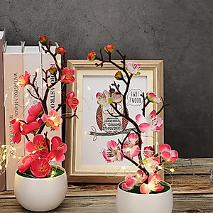 Fairy Lights Battery Operated, Mini Copper Wire String Lights, Full Star Colored Lights Battery LED String Lights Wedding Christmas Decoration Copper Wire String Lights Cake(5 meter with 50 lights)