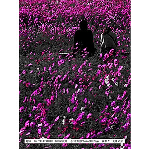 PENTAX digital SLR camera Q10 double zoom Kit silver Q10 WZOOMKIT SILVER [International Version, No Warranty]