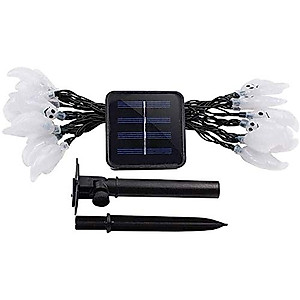 LIUPENGWEI Solar Outdoor Rodgersia String, 30 LED Ghost Globe-Shaped Solar Fairy Lights for Home, Party, Holiday, Christmas Decorations (Warm White) Garden Ghost Light