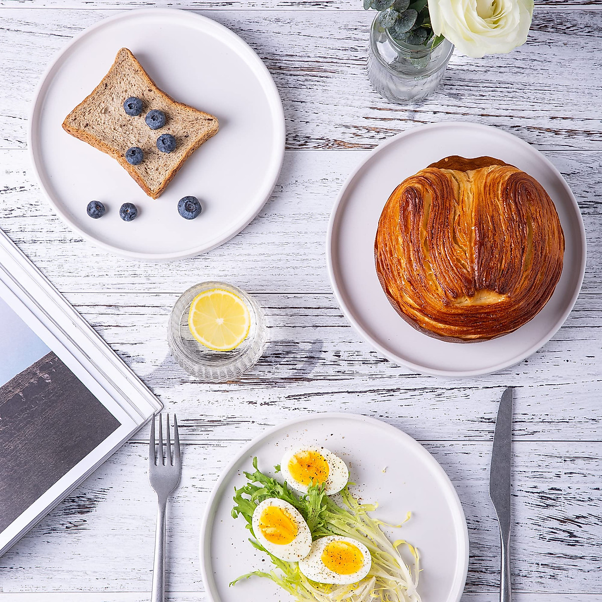 AmorArc Ceramic Dinner Plates Set of 6, 10.0 Inch Matte Stoneware Plates for Kitchen,Modern Flat Dinnerware Dishes Set,Microwave& Dishwasher Safe, Scratch Resistant, Matte white