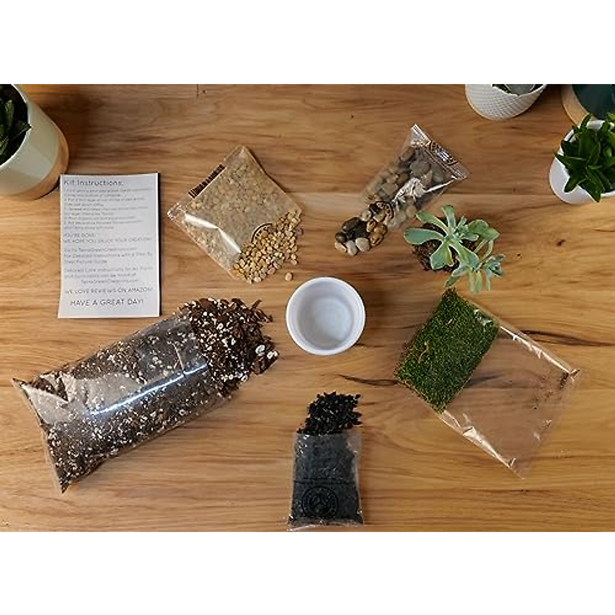 TerraGreen Creations Succulent Planter Kit with Soil, Gravel, Pebble, Moss, Horticulture Charcoal, Supplies For Fairy Gardens, or Cactus - Create Your Own Terrarium