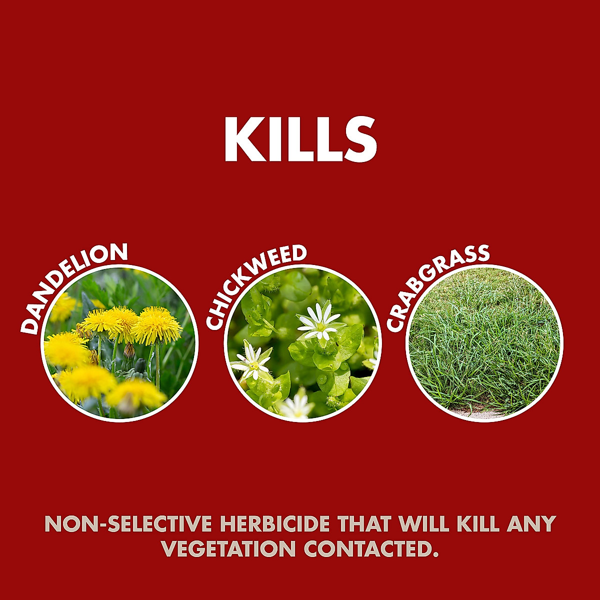 Spectracide Weed & Grass Killer, Use On Driveways, Walkways and Around Trees and Flower Beds, 1 Gallon (RTU Spray)