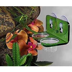 WOLEDOE 1oz Crested Gecko Food Cups, 100Pcs Reptile Plastic Feeding Dish