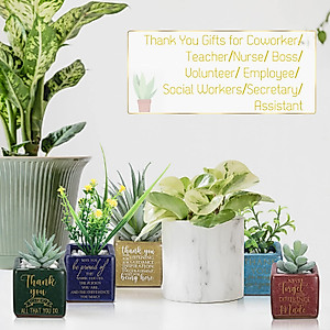 Sieral 6 Pcs Teacher Plant Gifts Thank You for Helping Me Grow Gifts Succulent Pots Appreciation Gifts for Employee Volunteer Ceramic Plant Pots with Drainage Holes, Plants Not Included(2.56 Inch)