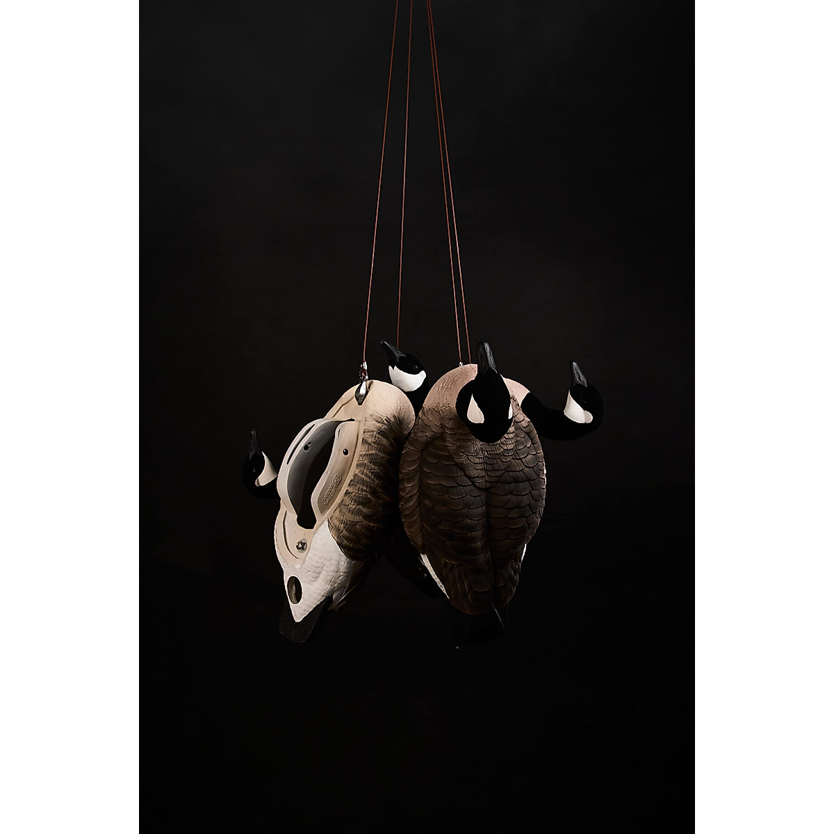 Ultralight 100% HydroFoam Canada Goose 4 Pack - Light as a Feather - Lasts Forever