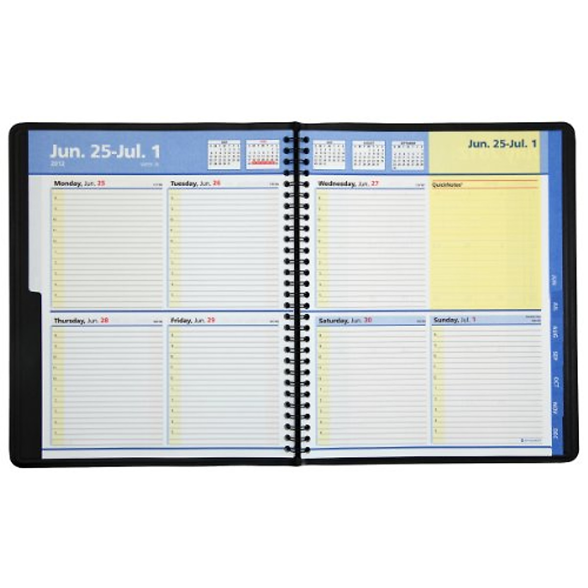 AT-A-GLANCE QuickNotes Recycled Weekly/Monthly Appointment Book, 8 x 10 Inches, Black, 2013 (76-01-05)