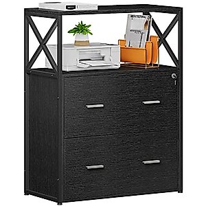 Raybee Filing Cabinet for Home Office Lateral File Cabinet with 2 Wood Drawers, Office Printer Stand with Lock Storage Cabinet for Letter, A4, Legal Size File Folders, 15.8"D x 31.5"W x 40.6"H, Black