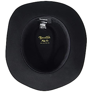 Brixton unisex adult Wesley Fedora, Black, Small US