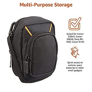 Amazon Basics Large Point and Shoot Camera Case - 6 x 4 x 2 Inches, Black