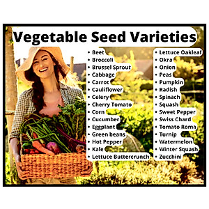 30 Vegetable & Fruit Seeds for Planting Your Outdoor & Indoor Home Seed Garden, Survival Gear Kit Includes 7600 Seeds, A Growing Guide & Mylar Package Gardening Heirloom Non-GMO Veggie Seed B&KM Farms