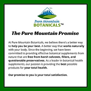 Ginkgo Biloba Capsules – Kosher Vegan Caps with 400mg Ginkgo Biloba Leaf and Ginko Extract Supplement