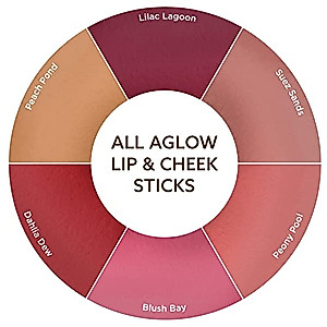 BURTS BEES Lilac Lagoon All Aglow Lip & Cheek Stick, 0.32 OZ