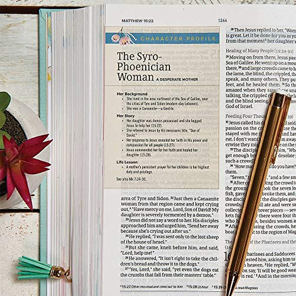 CSB Study Bible For Women, Light Turquoise/Sand Hardcover, Black Letter, Study Notes and Commentary, Articles, Profiles, Word Studies, Charts, Full-Color Maps, Easy-to-Read Bible Serif Type