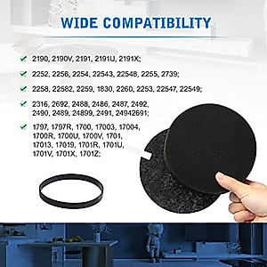 LANMU Replacement Filters and Belts for Bissell Models 2252, 2190, 2191, 2191U, 2254, 2256, 2259, 2260, 1700, 3534 CleanView Swivel Rewind Pet Powerlifter/PowerForce Helix Turbo Vacuum Cleaner