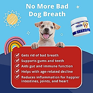Pup Labs Fresh Breathies - All-Natural Delicious Dental Chews for Dogs - Dog Breath Freshener - Supports Gut Health and Immune System - Made for All Dogs and in The USA, 30 Chews