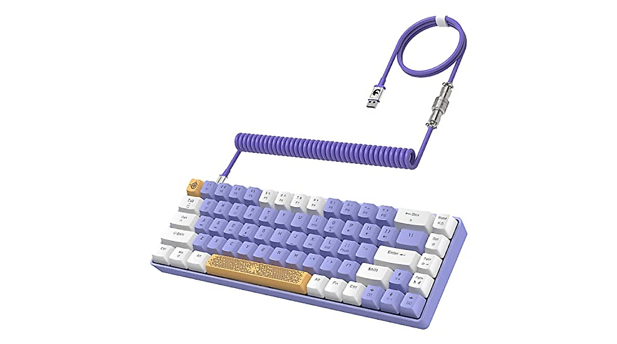 ZIYOU LANG RK-T8 Wired 65% Mechanical Gaming Keyboard with RGB LED ...