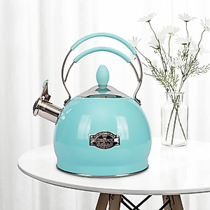Whistling Tea Kettle Stainless Steel Teapot, Teakettle for Stovetop Induction Stove Top, Fast Boiling Heat Water Tea Pot 2.6 Quart