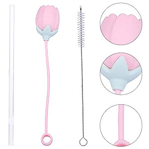 TOYANDONA 2pcs Straw Plug Silicone Straw Lids Drink Straw Cleaning Brush Drinking Straw Tips Test Tube Brush Glass Straw Drinking Straw - Cover Accessories Sippy Cup
