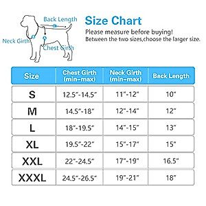 Mitili Warm Dog Jacket in Winter Pet Cold Waether Coats, Dogs Clothes with D-Ring Collar, Waterproof Reflective Dog Vest Coat with Double Row Zip for Small Medium Large Pet (Small, Colorful White)