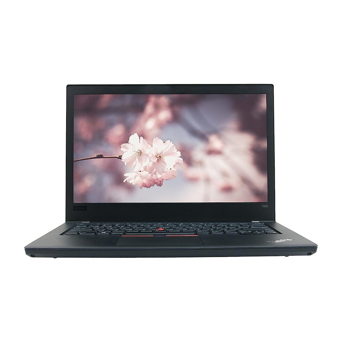 Lenovo ThinkPad T480 14 HD Laptop - Intel Core i5-8350U, 16GB RAM, 256GB SSD, Webcam, Windows 10 Pro (Renewed)