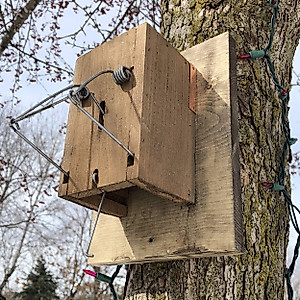 Squirrel Trapping Starter Kit for Squirrel/Chipmunk Removal in Homes Bird Feeders Attics | Little Killer Choker Style Animal Trap + Squirrel Butter + Jelly + Trail Mix Baits