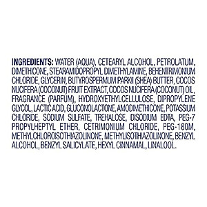 Dove Amplified Textures Deep Moisture Detangling Conditioner for Coils, Curls, and Waves Coconut Milk Hair Moisture Amplifying Hair Care Blend 32.3 oz