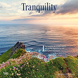 Tranquility | 2024 12 x 24 Inch Monthly Square Wall Calendar | BrownTrout | Inspiration Quotes