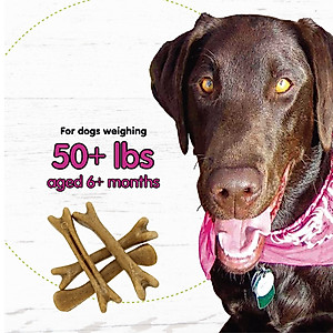 Fido Belly Bones for Dogs, Yogurt Flavored Large Dog Dental Treats - 4 Treats Per Pack (3 Pack) - for Large Dogs (Made in USA) - Plaque and Tartar Control for Fresh Breath, Digestive Health Support