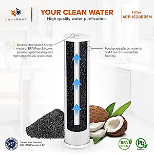 Aquaboon Universal Fit Whole House 5 Micron 20 x 4.5 inch Cartridge | Premium Coconut Shell Water Filter Cartridge | Activated Carbon Block CTO | Compatible with CB-45-2005, Pentek EP-20BB 6-Pack