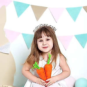 PAPARELA Birthday Crown Rose Gold Birthday Sash Rhinestone Tiara Set for Girl Headband Princess Crowns for Birthday Party Pageant Gifts for Women