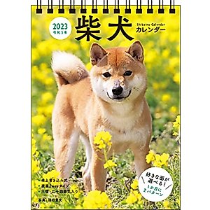 2023 柴犬カレンダー 卓上書き込み式 [B6タテ] 【S3】 (永岡書店のカレンダー)