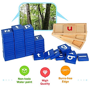 Wooden CVC Reading Spelling Game for Kids, Sight Words Flash Cards for Preschool Kindergarden Learning Activities, Montessori Educational Toys Gifts for 3 4 5 6 Year Old Kids
