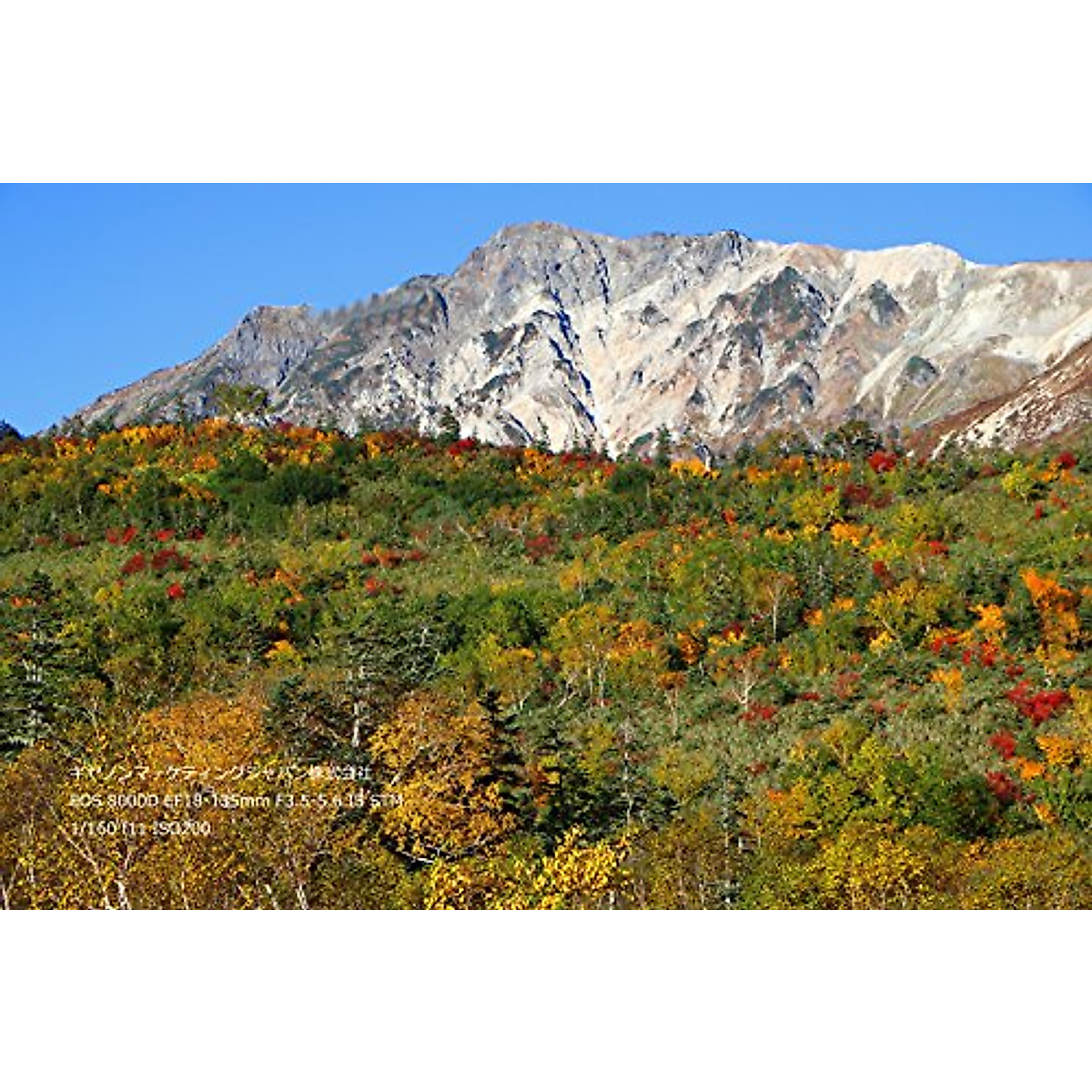 Canon DSLR camera EOS 8000D body 24.2 million pixels EOS8000D [International Version, No Warranty]