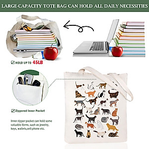 Andeiltech Canvas Tote Bag for Women Fun Cat Aesthetic Tote Bag with Inner Pocket Cats Shoulder Book Bag Gift Shopping Reusable Grocery Bags