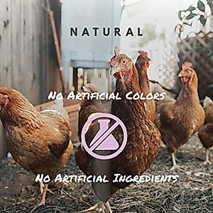 Manna Pro 7-Grain Ultimate Chicken Scratch - Scratch Grain Treat for Chickens and Other Birds - Non-GMO Natural Ingredients - 10 lbs