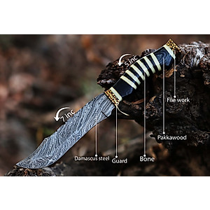 12.5 Inch long Hunting knife, Collectible knife, Scale is made of Camel bone and dollar wood, embellished with Engraved brass finger guard and pommel, Hand forged Twist pattern Damascus steel blade, Comes with Leather sheath